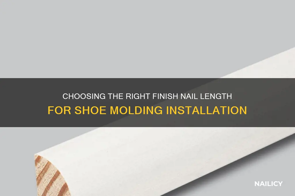 Choosing The Right Finish Nail Length For Shoe Molding Installation ...