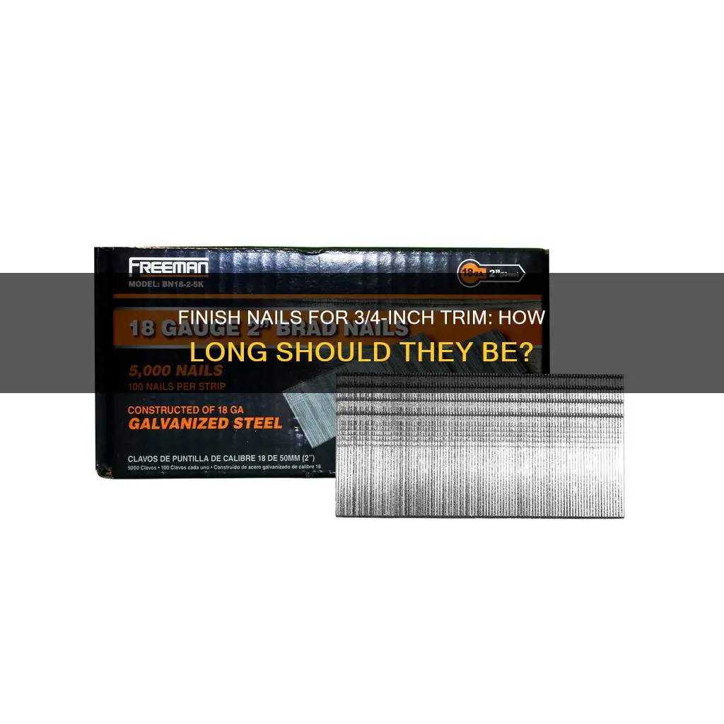 Finish Nails For 3/4-Inch Trim: How Long Should They Be? | Nailicy