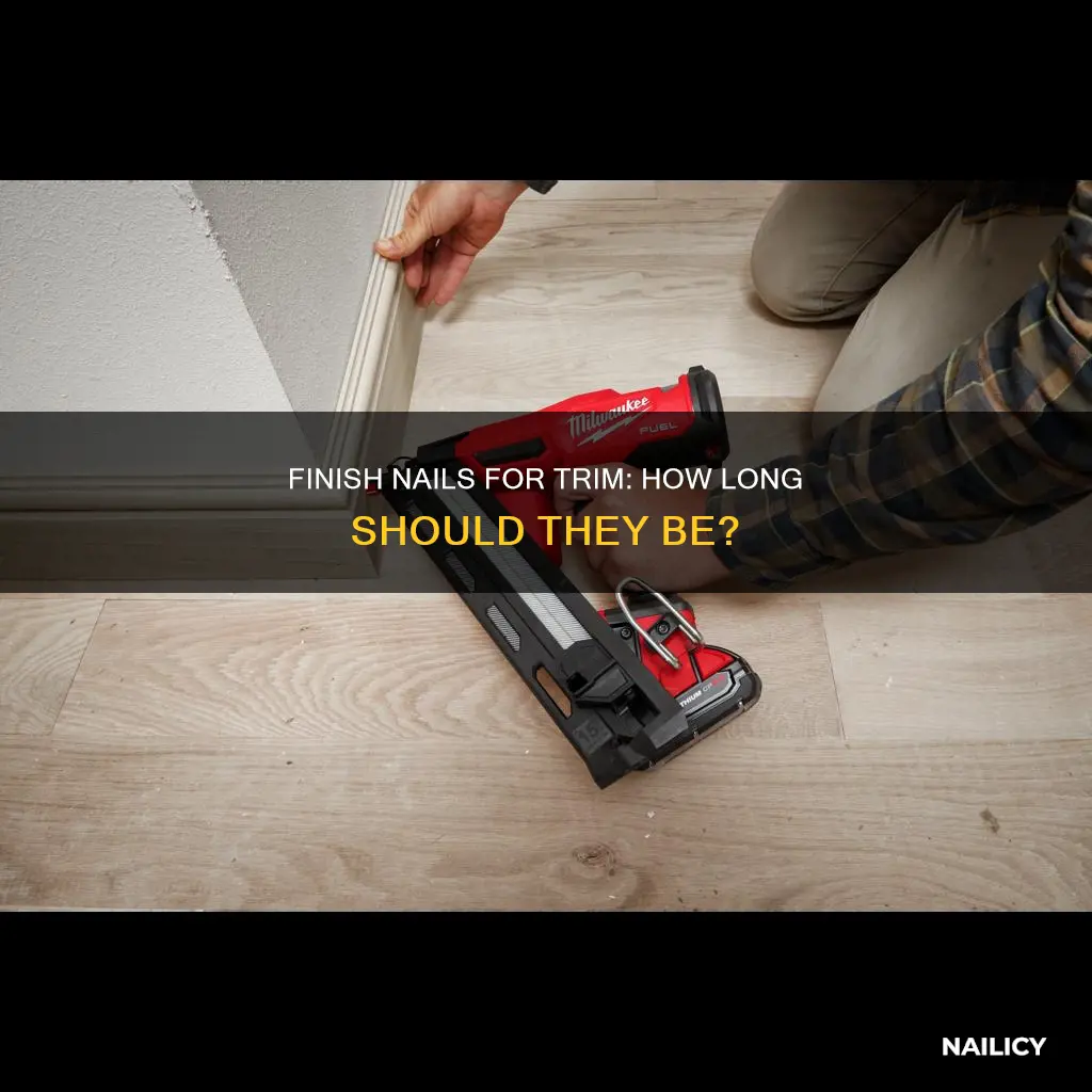 Finish Nails For Trim: How Long Should They Be? | Nailicy