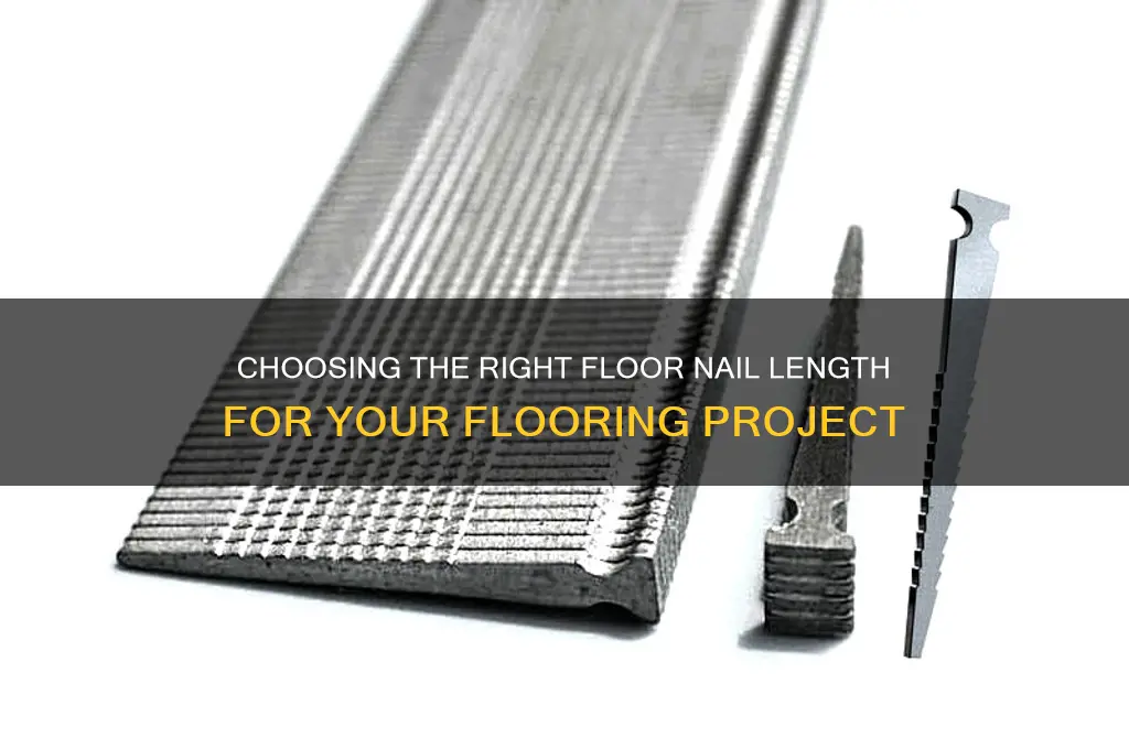 Choosing The Right Floor Nail Length For Your Flooring Project | Nailicy
