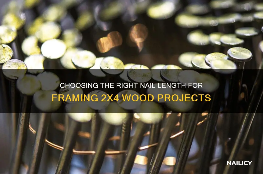 Choosing The Right Nail Length For Framing 2X4 Wood Projects | Nailicy
