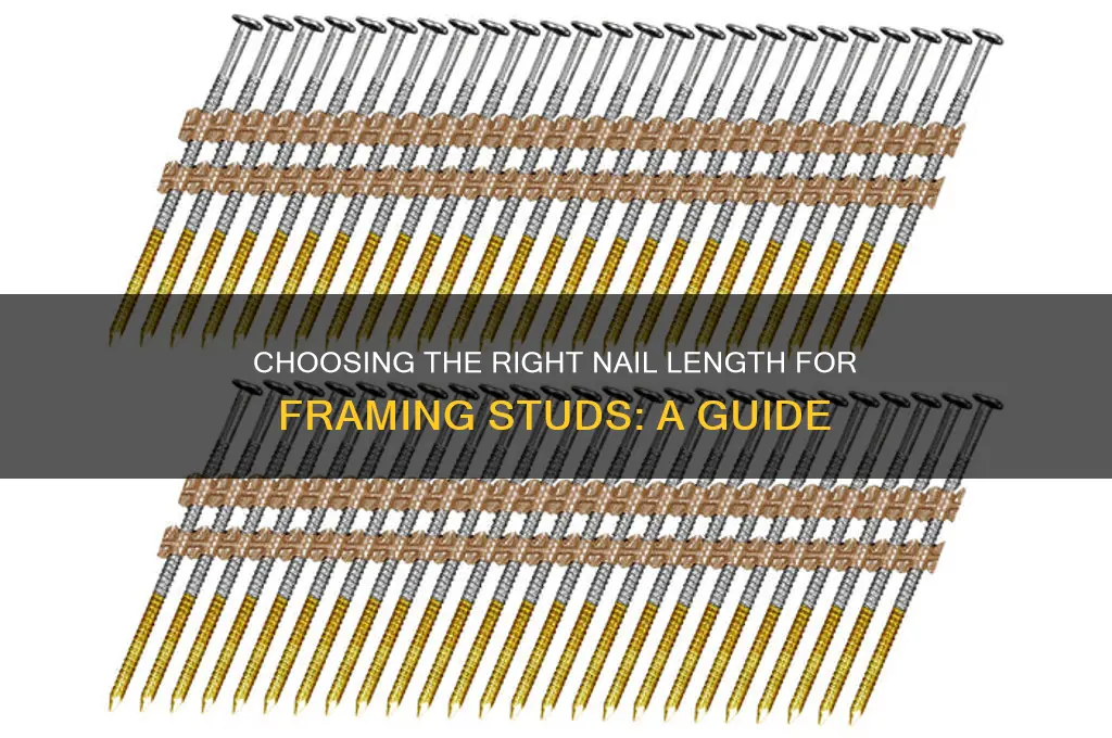 Choosing The Right Nail Length For Framing Studs: A Guide | Nailicy