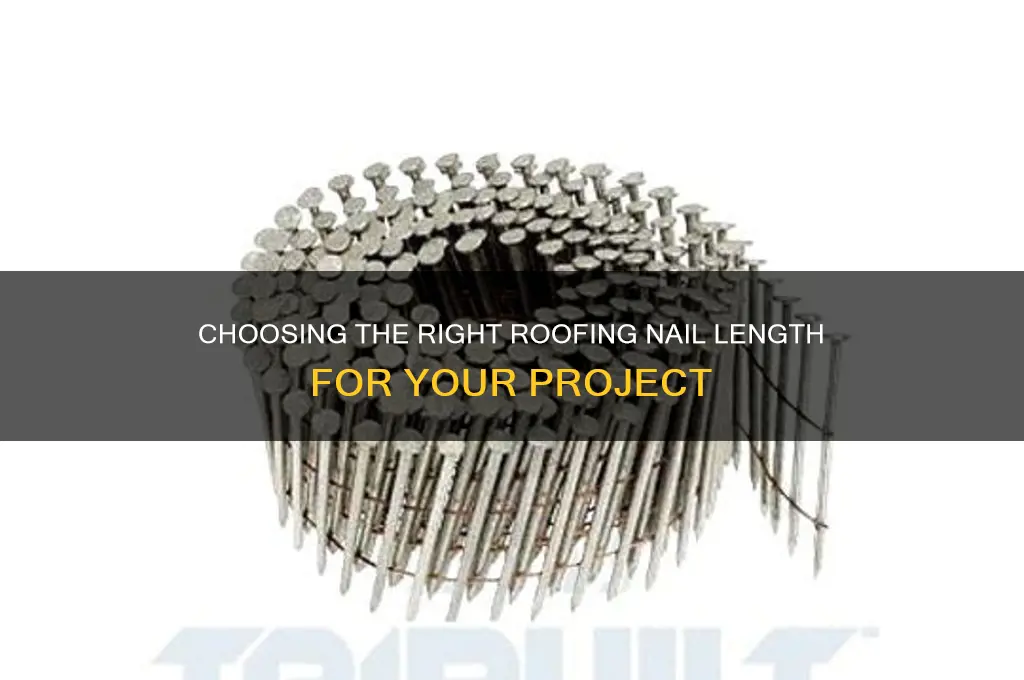Choosing The Right Roofing Nail Length For Your Project | Nailicy