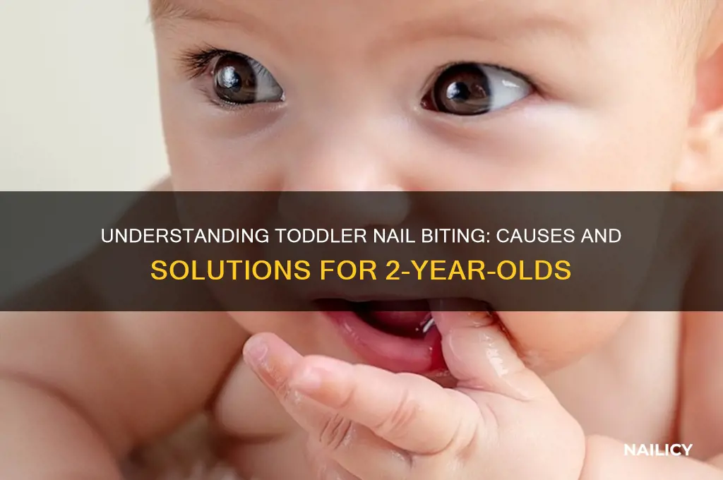 Understanding Toddler Nail Biting: Causes And Solutions For 2-Year-Olds ...