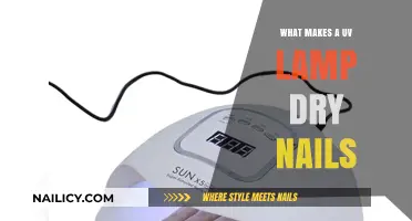 Understanding The Composition And Structure Of Human Fingernails | Nailicy