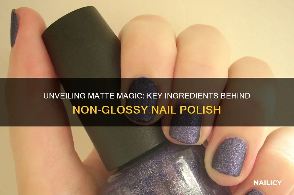Unveiling Matte Magic: Key Ingredients Behind Non-Glossy Nail Polish ...
