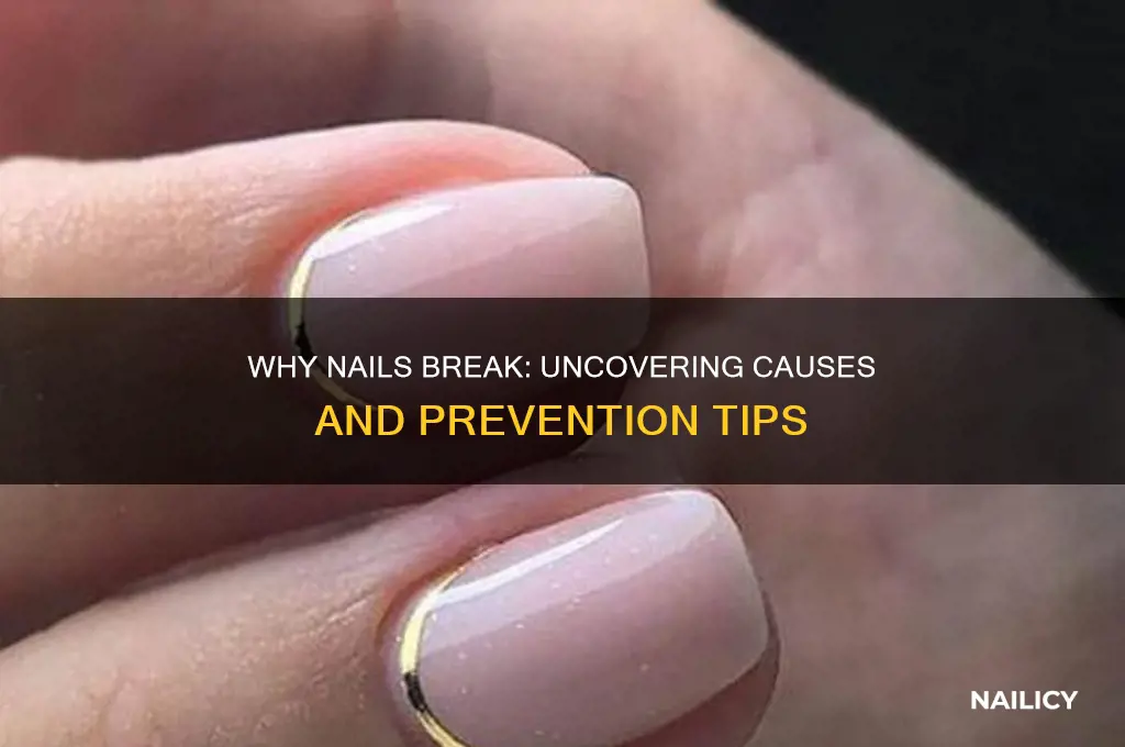 Why Nails Break: Uncovering Causes And Prevention Tips | Nailicy