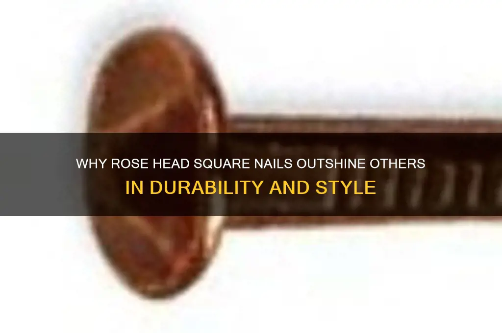 Why Rose Head Square Nails Outshine Others In Durability And Style ...