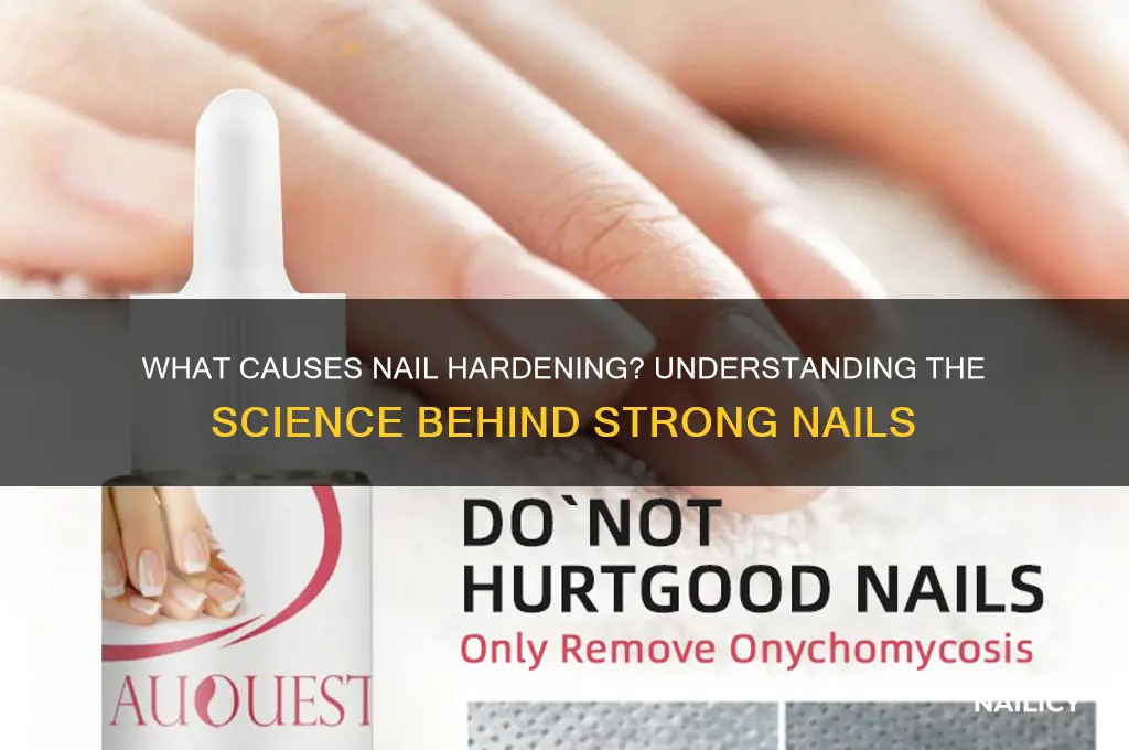 What Causes Nail Hardening? Understanding The Science Behind Strong ...