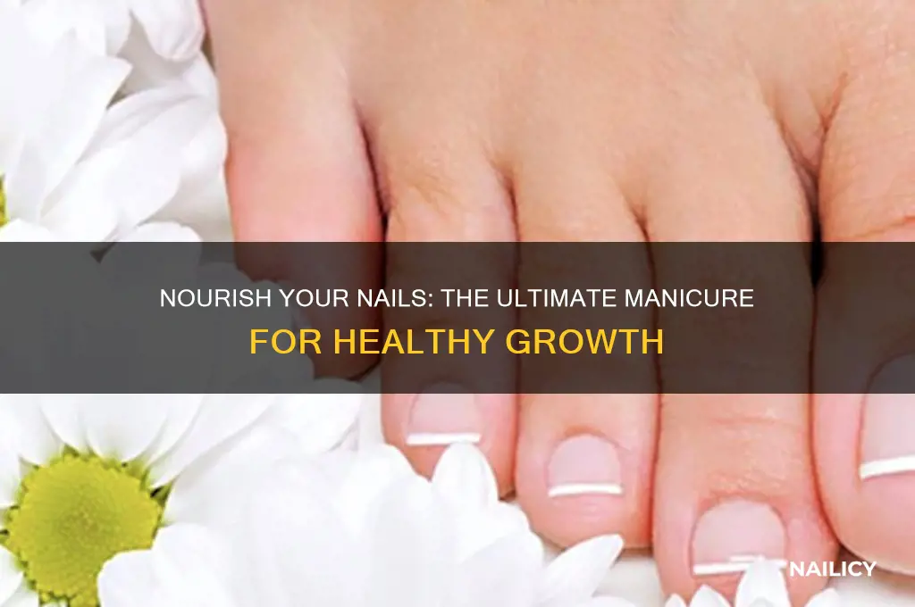 Nourish Your Nails: The Ultimate Manicure For Healthy Growth | Nailicy