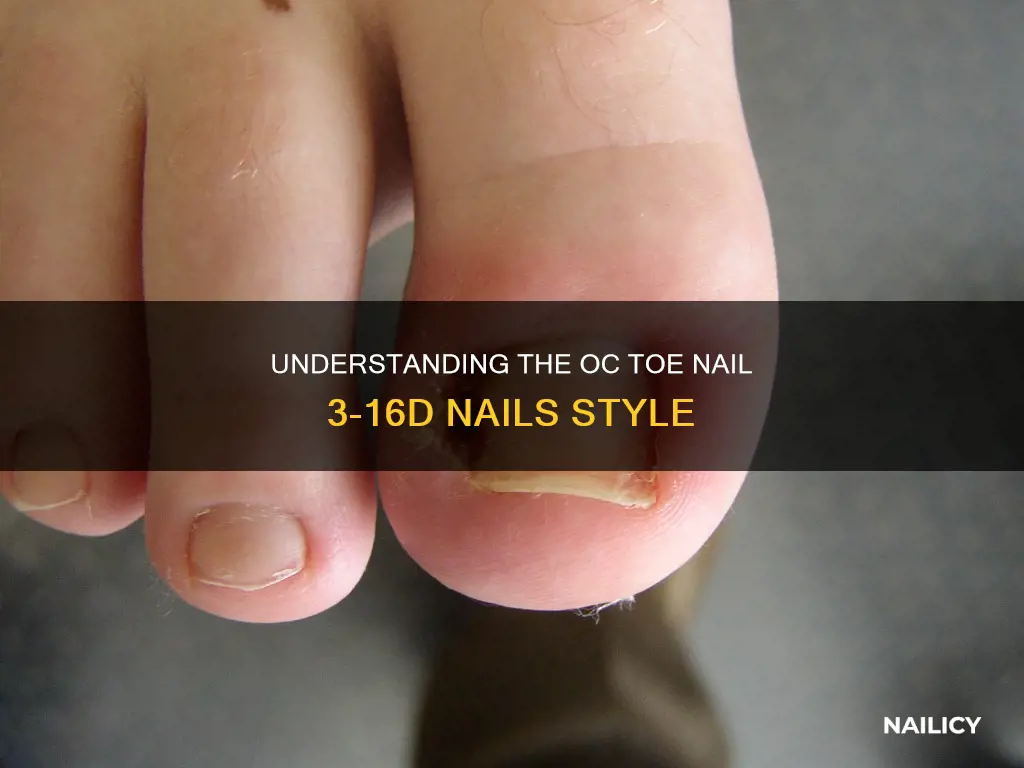 Understanding The Oc Toe Nail 3-16D Nails Style | Nailicy