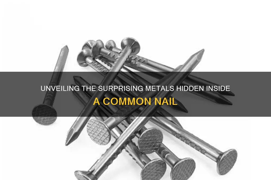 Unveiling The Surprising Metals Hidden Inside A Common Nail | Nailicy