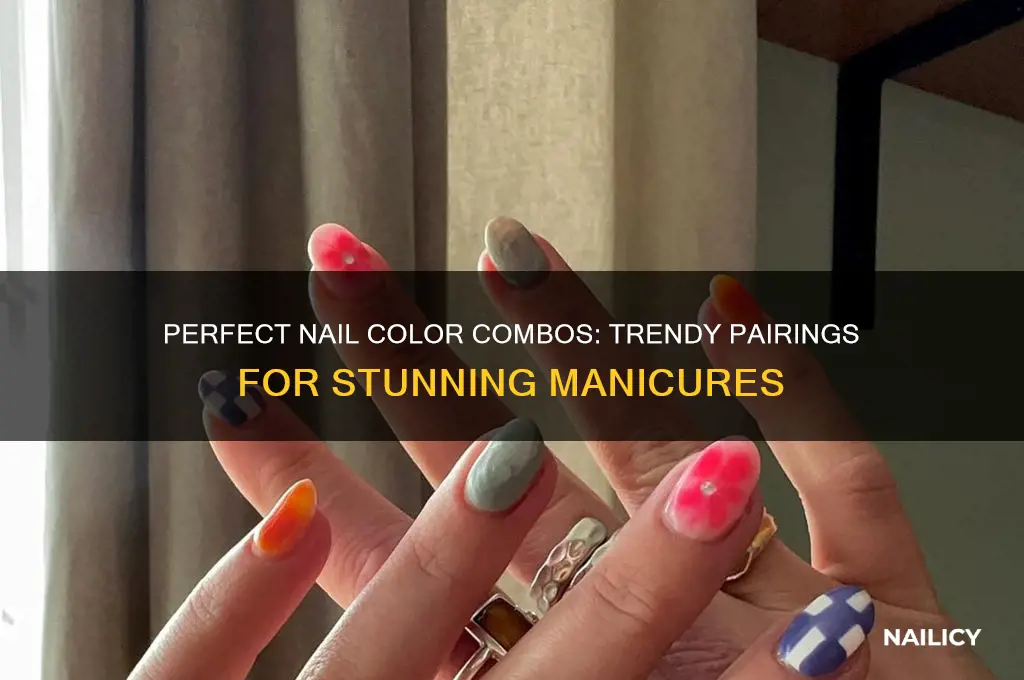 Perfect Nail Color Combos: Trendy Pairings For Stunning Manicures | Nailicy