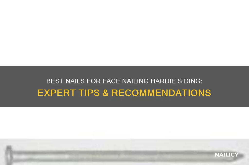 Best Nails For Face Nailing Hardie Siding: Expert Tips ...
