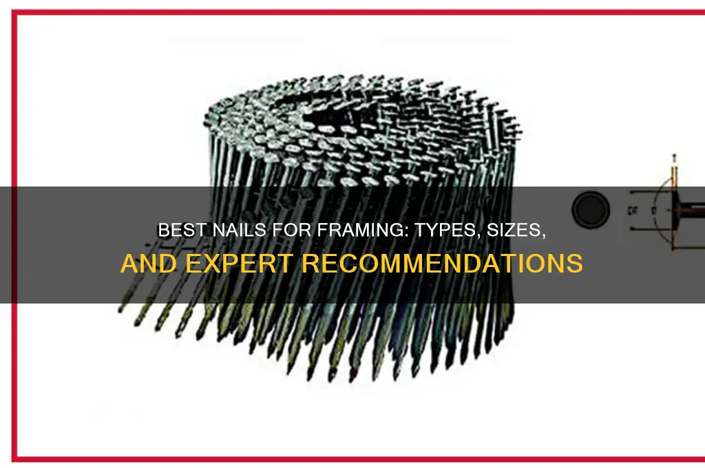 Best Nails For Framing: Types, Sizes, And Expert Recommendations | Nailicy