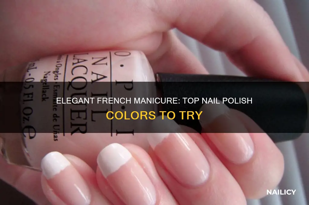 Elegant French Manicure: Top Nail Polish Colors To Try | Nailicy