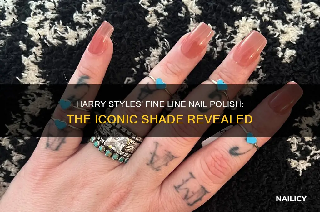 Harry Styles' Fine Line Nail Polish: The Iconic Shade Revealed | Nailicy