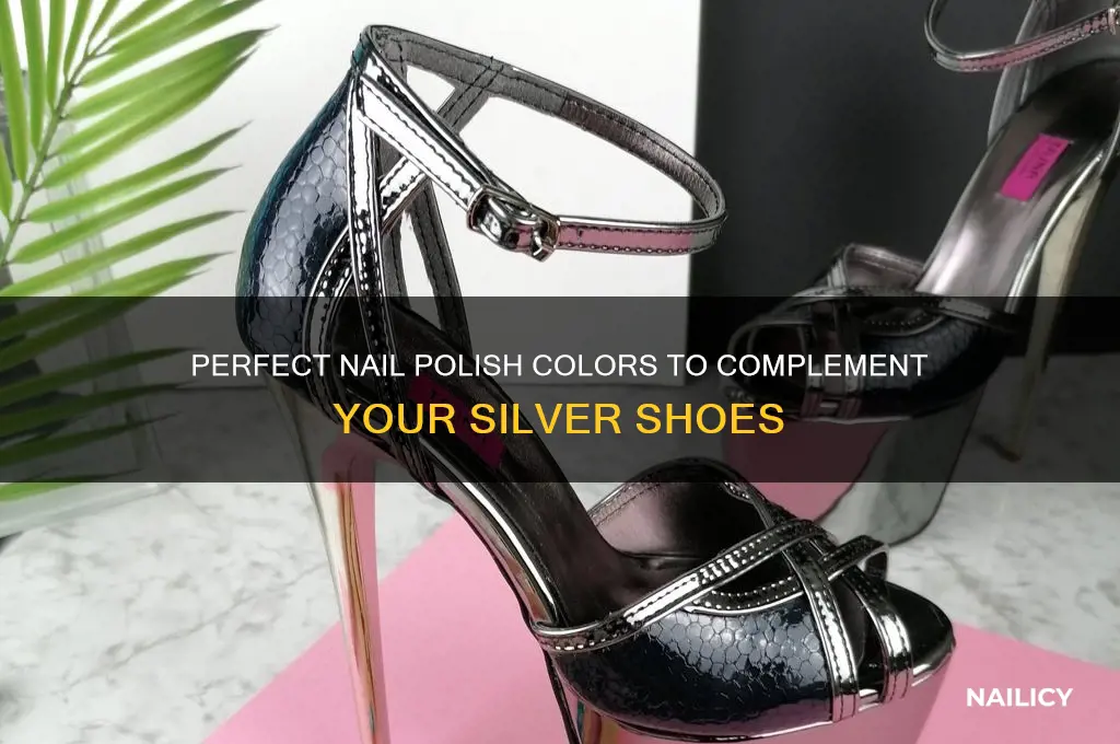 Perfect Nail Polish Colors To Complement Your Silver Shoes | Nailicy