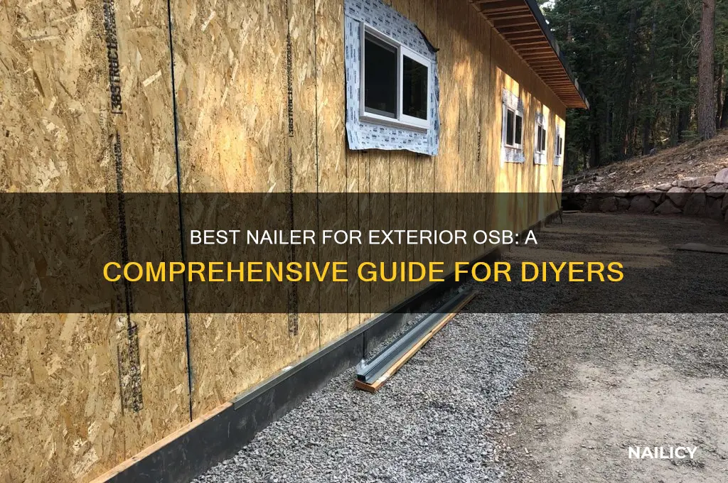 Best Nailer For Exterior Osb: A Comprehensive Guide For Diyers | Nailicy