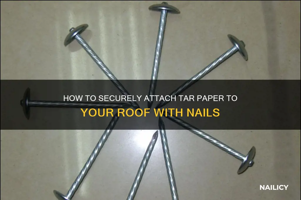 How To Securely Attach Tar Paper To Your Roof With Nails | Nailicy