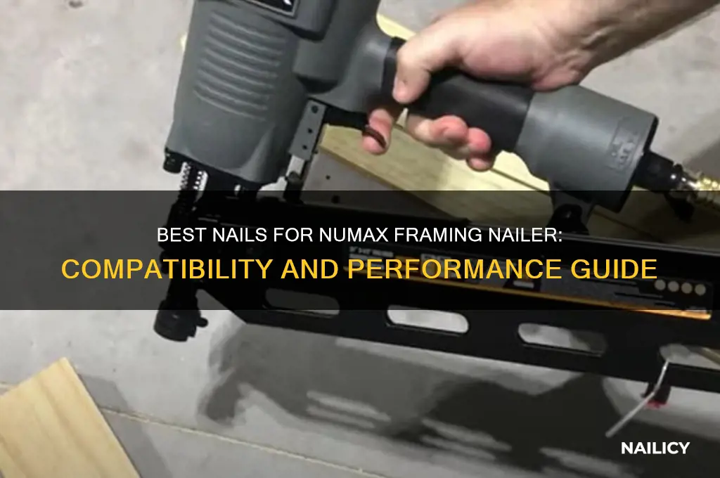 Best Nails For Numax Framing Nailer: Compatibility And Performance ...