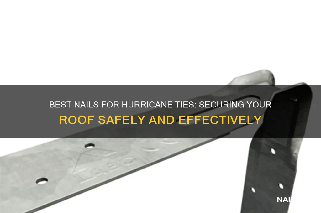 Best Nails For Hurricane Ties: Securing Your Roof Safely And ...