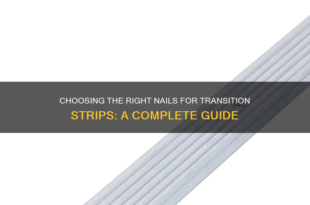 Choosing The Right Nails For Transition Strips: A Complete Guide | Nailicy
