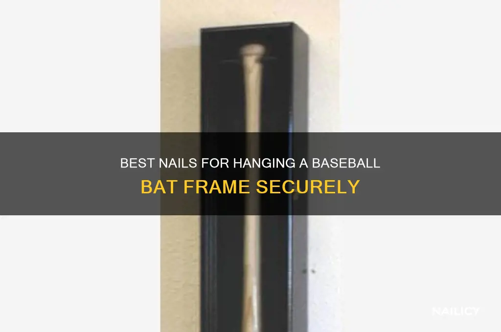 Best Nails For Hanging A Baseball Bat Frame Securely | Nailicy