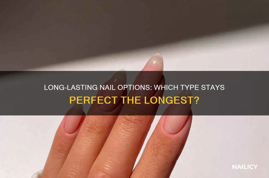 Long-Lasting Nail Options: Which Type Stays Perfect The Longest? | Nailicy