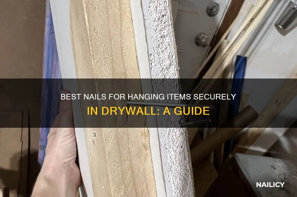 Best Nails For Hanging Items Securely In Drywall: A Guide | Nailicy