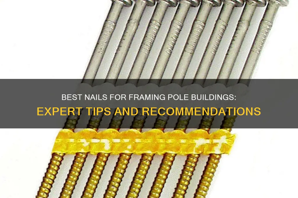 Best Nails For Framing Pole Buildings: Expert Tips And Recommendations ...
