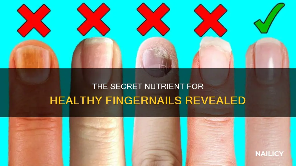 The Secret Nutrient For Healthy Fingernails Revealed | Nailicy