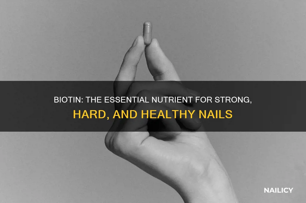 Biotin: The Essential Nutrient For Strong, Hard, And Healthy Nails ...