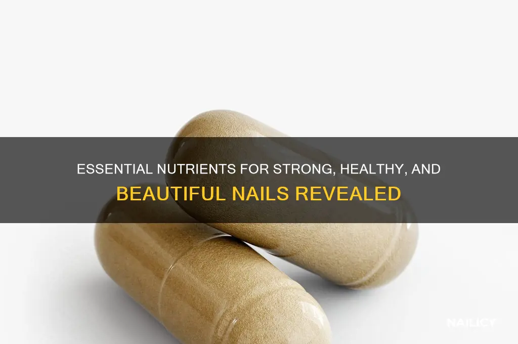 Essential Nutrients For Strong, Healthy, And Beautiful Nails Revealed ...