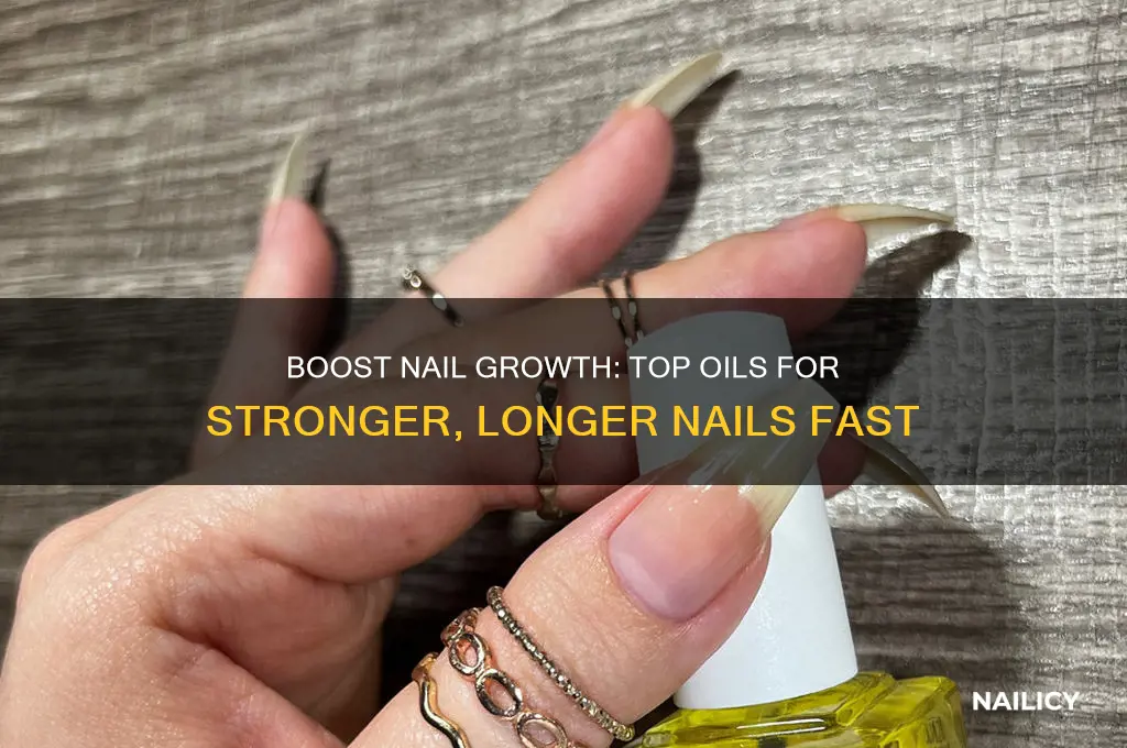 Boost Nail Growth: Top Oils For Stronger, Longer Nails Fast | Nailicy