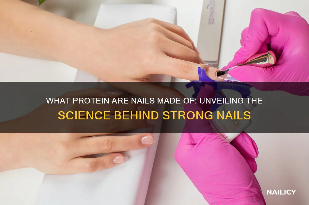 What Protein Are Nails Made Of: Unveiling The Science Behind Strong ...