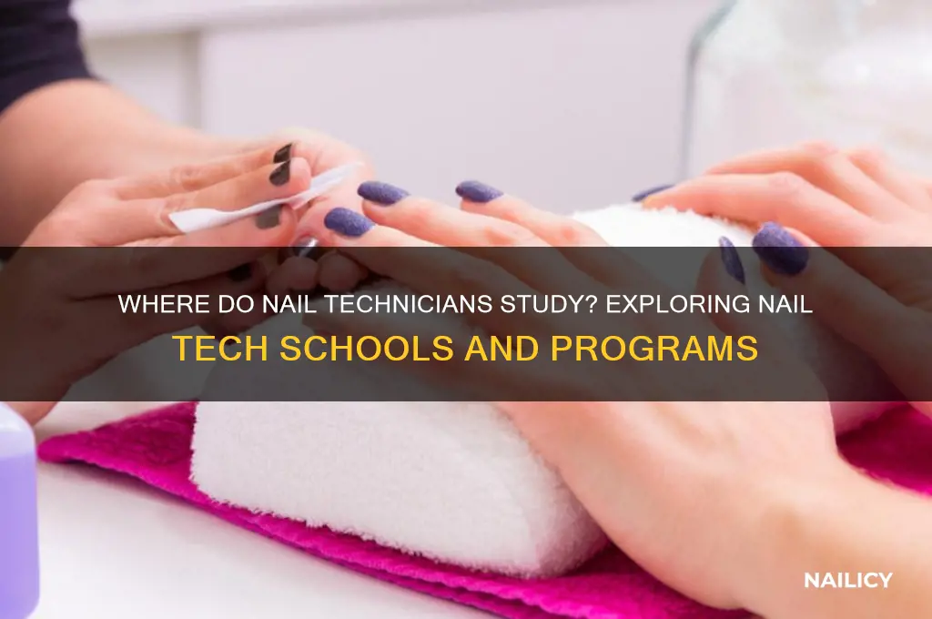 Where Do Nail Technicians Study? Exploring Nail Tech Schools And ...