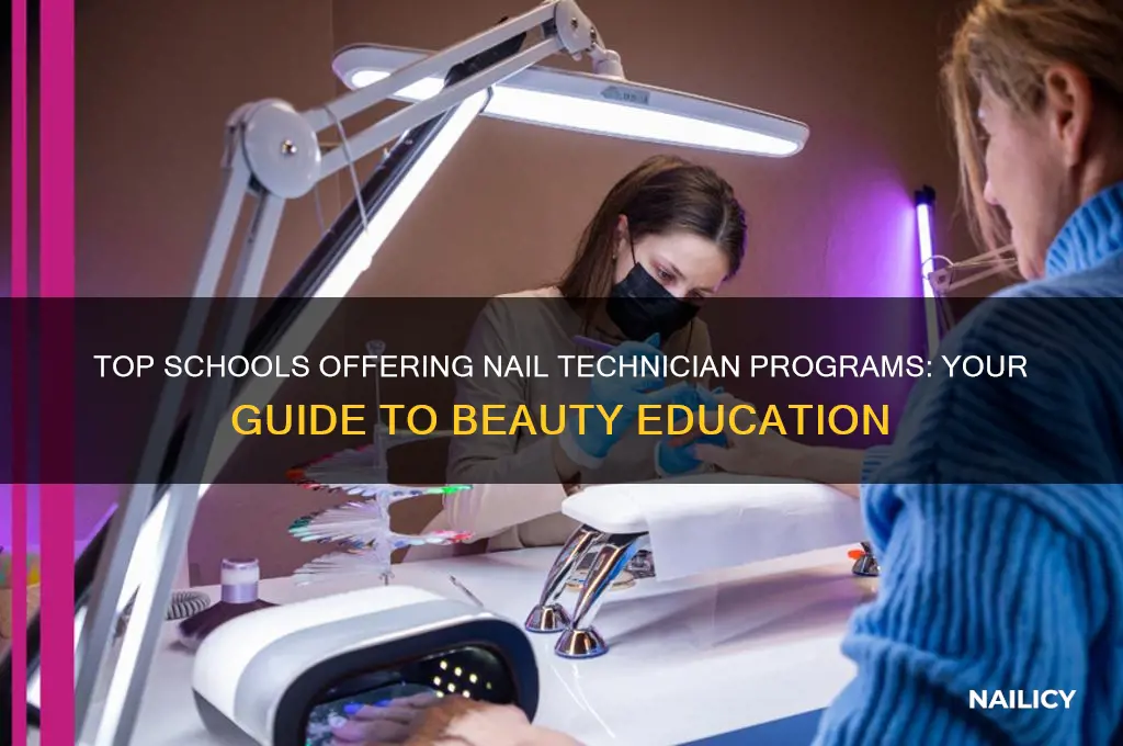 Top Schools Offering Nail Technician Programs: Your Guide To Beauty ...