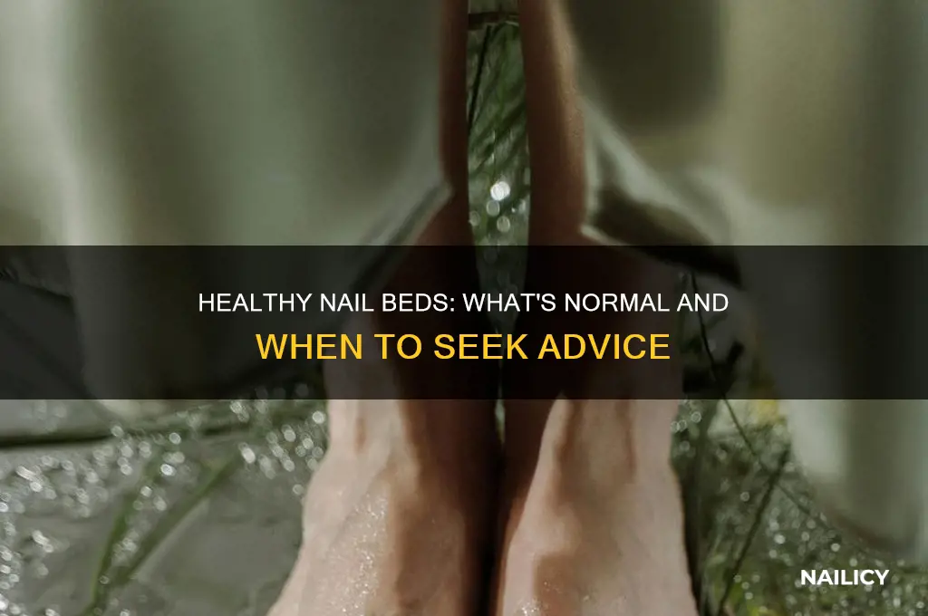 Healthy Nail Beds: What's Normal And When To Seek Advice | Nailicy