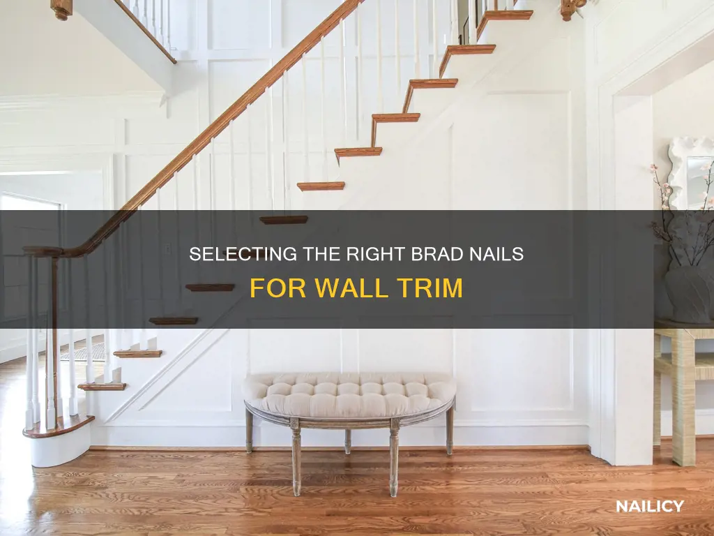 Selecting The Right Brad Nails For Wall Trim | Nailicy