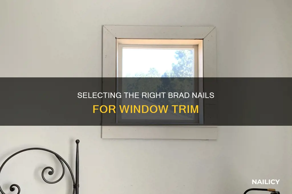 Selecting The Right Brad Nails For Window Trim | Nailicy