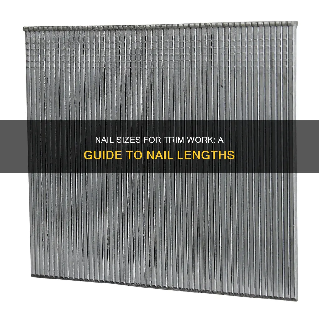 Nail Sizes For Trim Work: A Guide To Nail Lengths | Nailicy