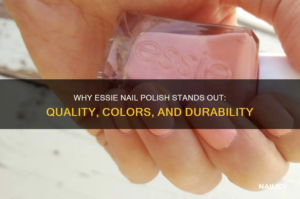 Why Essie Nail Polish Stands Out: Quality, Colors, And Durability | Nailicy