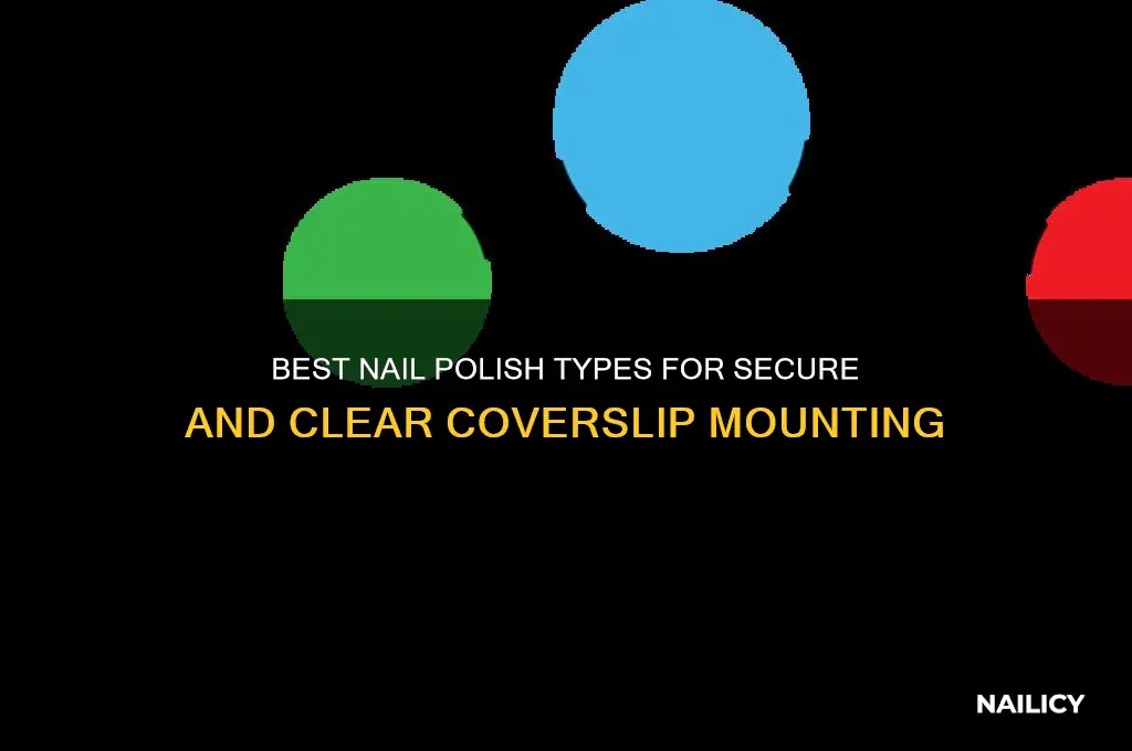 Best Nail Polish Types For Secure And Clear Coverslip Mounting | Nailicy