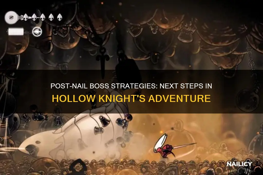 Post-Nail Boss Strategies: Next Steps In Hollow Knight's Adventure ...