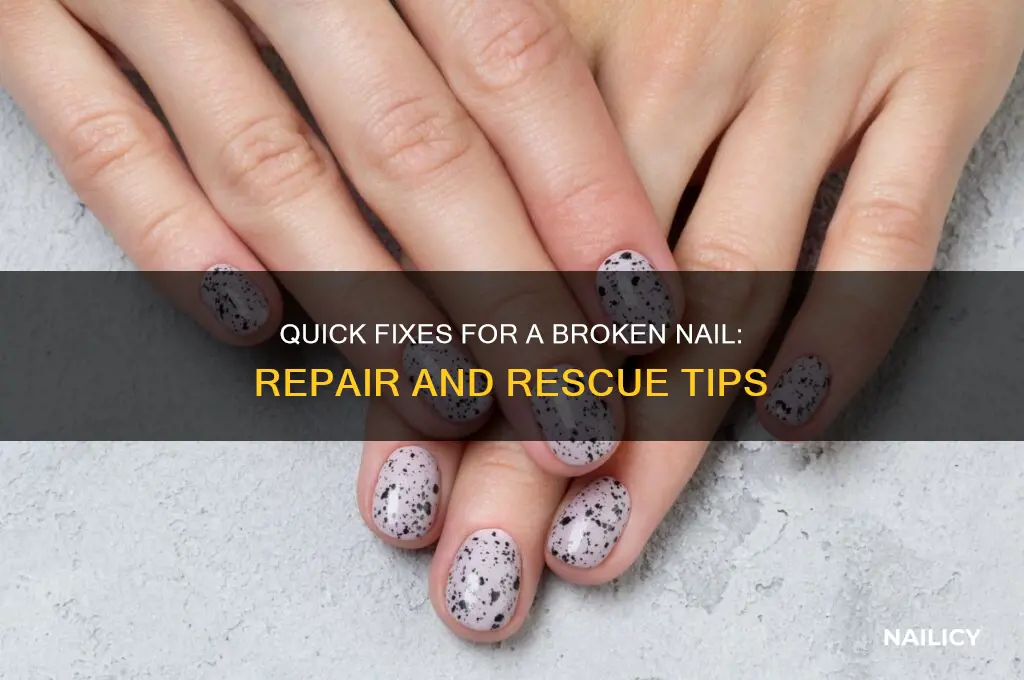 Quick Fixes For A Broken Nail: Repair And Rescue Tips | Nailicy