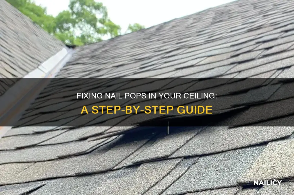 Fixing Nail Pops In Your Ceiling: A Step-By-Step Guide | Nailicy