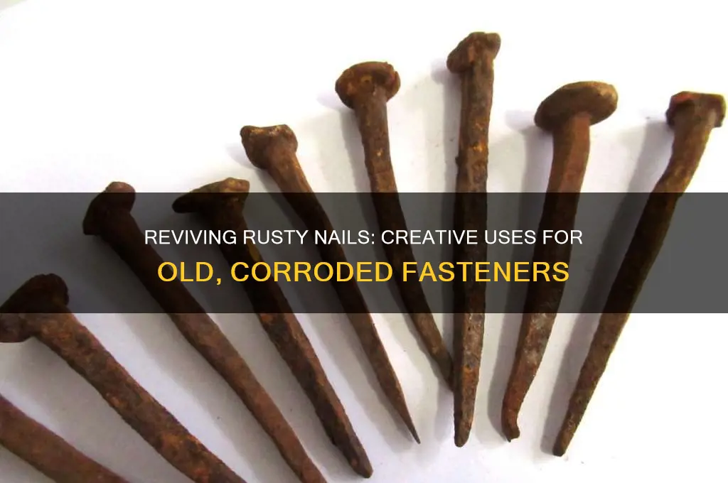 Reviving Rusty Nails: Creative Uses For Old, Corroded Fasteners | Nailicy