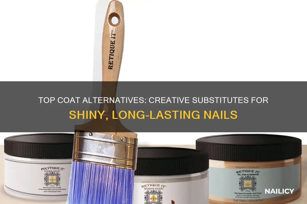 Top Coat Alternatives: Creative Substitutes For Shiny, Long-Lasting ...