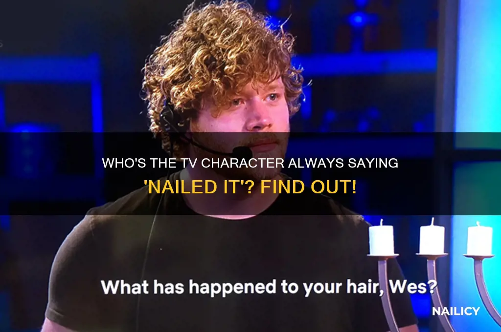 Who's The Tv Character Always Saying 'Nailed It'? Find Out! | Nailicy